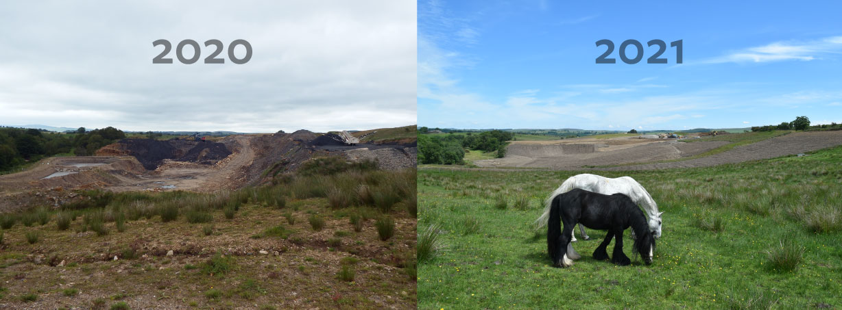 A debt to the local environment in 2021—partly repaid