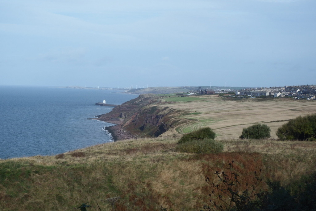 There are a range of organisations fighting against this disastrous ...