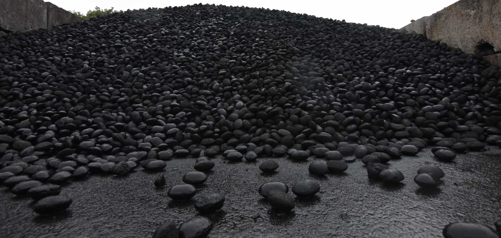Warm-this-winter—coal